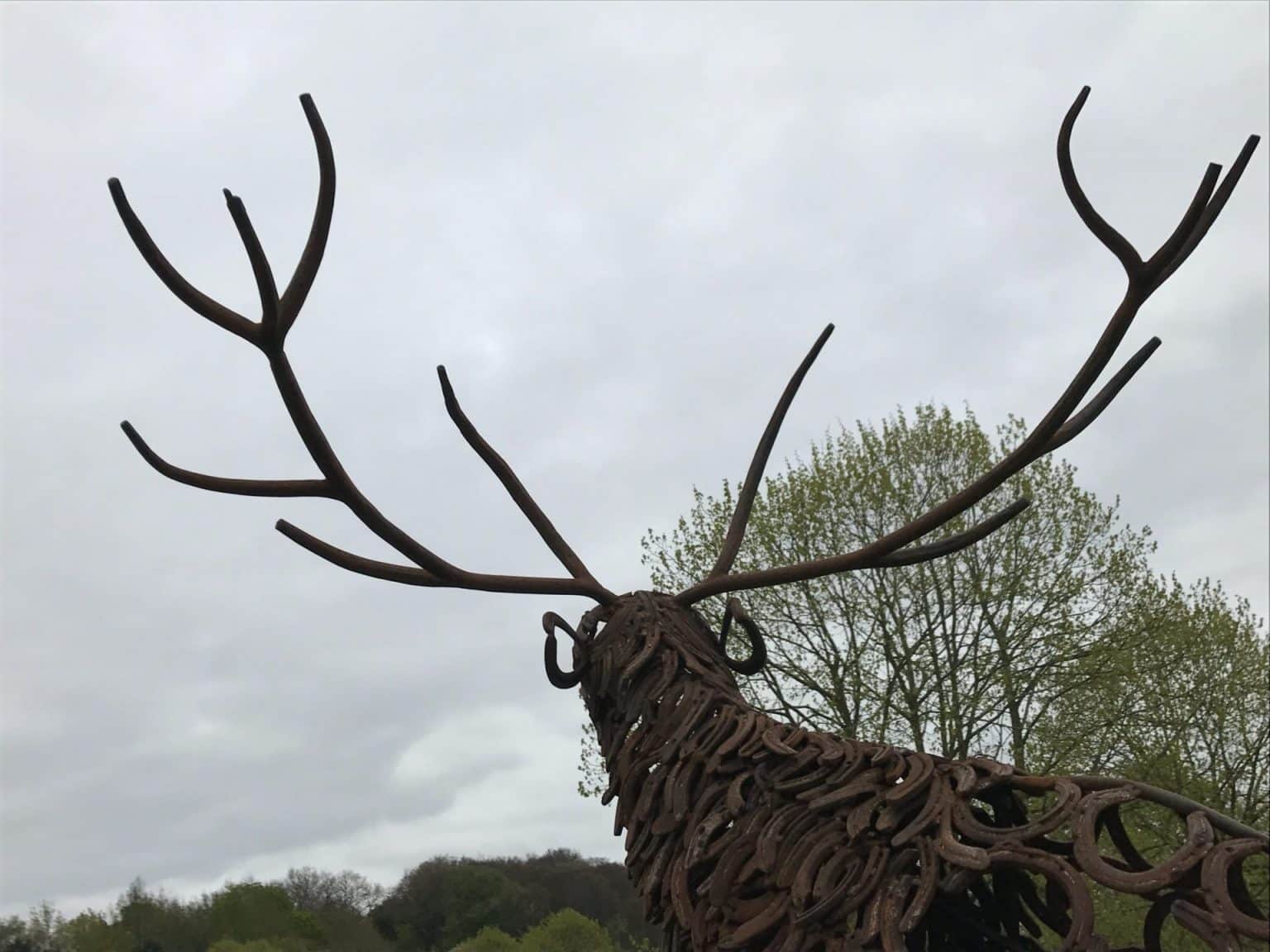 Climbing Stag Bellow - The Countryside Store
