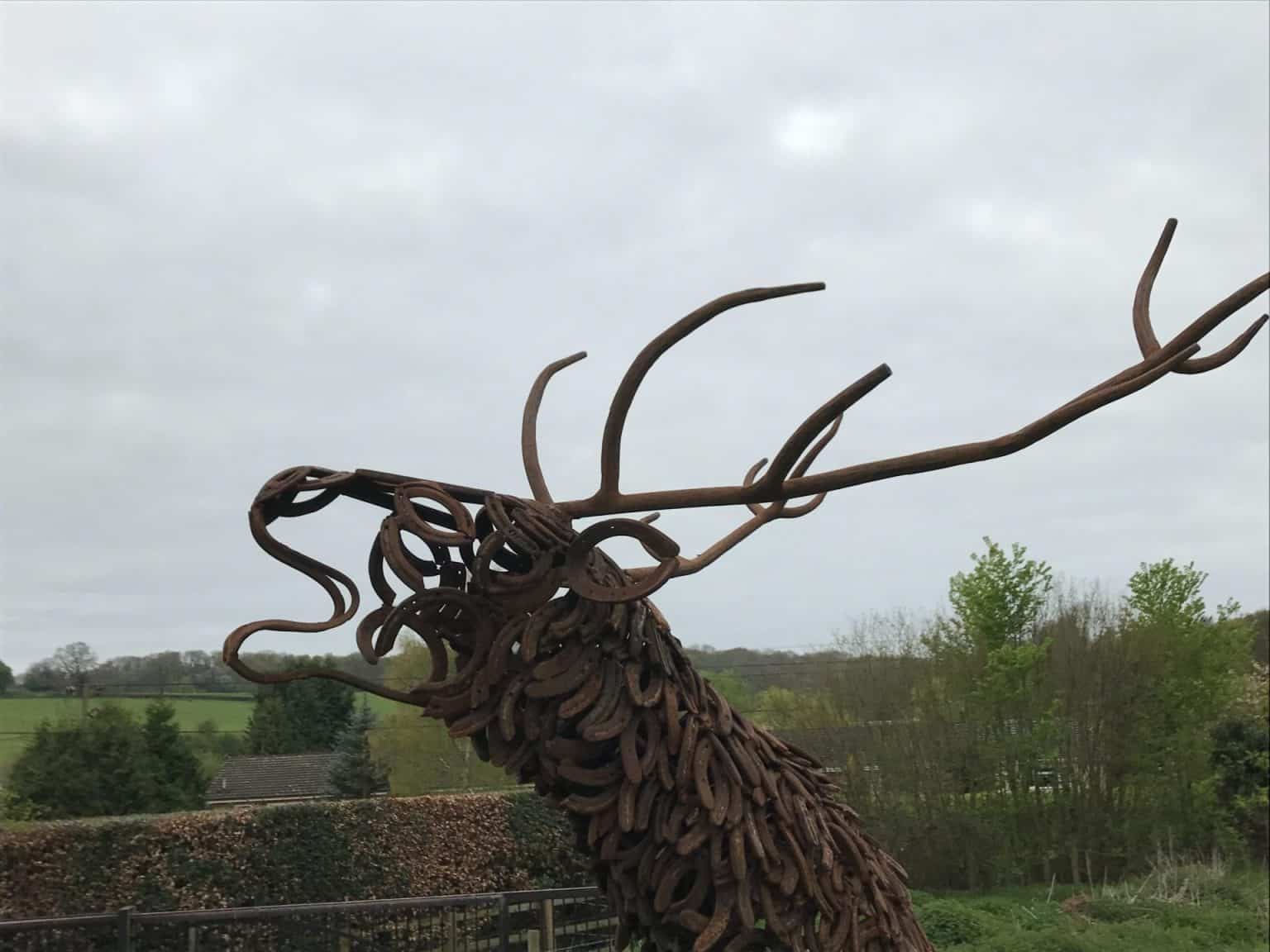 Climbing Stag Bellow - The Countryside Store